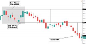 Alpaca Trading API Guide - A Step-by-step Guide - AlgoTrading101 Blog